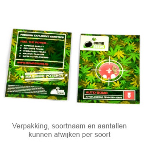 THC Bomb Autoflower - Bomb Seeds