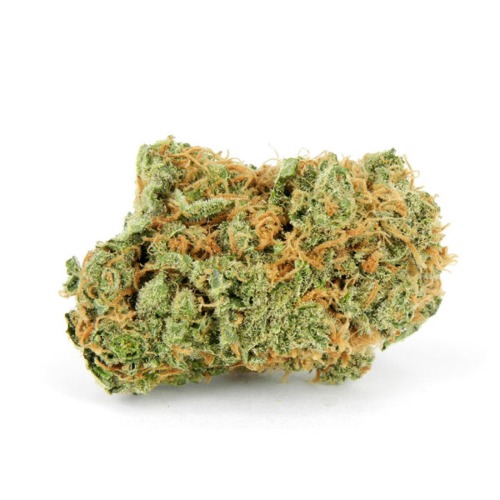 Critical Kush - Royal Queen Seeds Critical Kush - Royal Queen Seeds