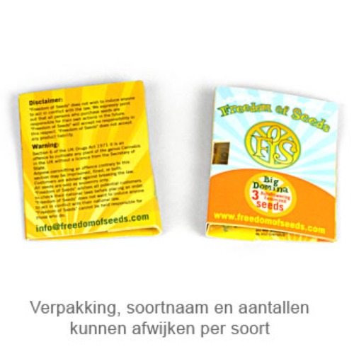 Godberry - Freedom of Seeds