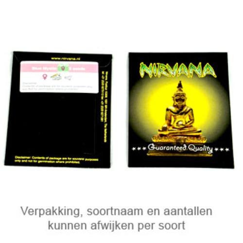 Bubblelicious Auto - Nirvana Seeds