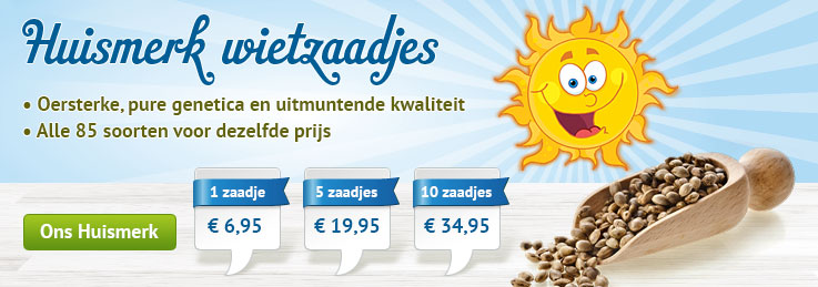 Wietzaadjes - Wiet zaden kopen
