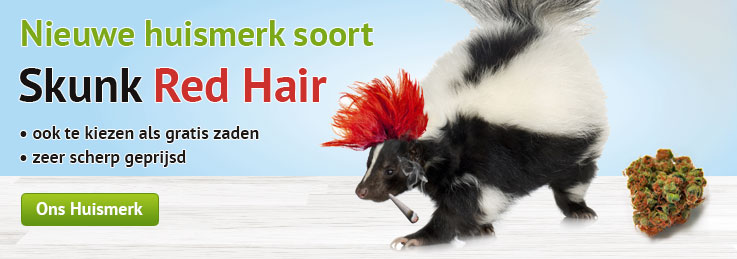 Wietzaadjes - Wiet zaden kopen