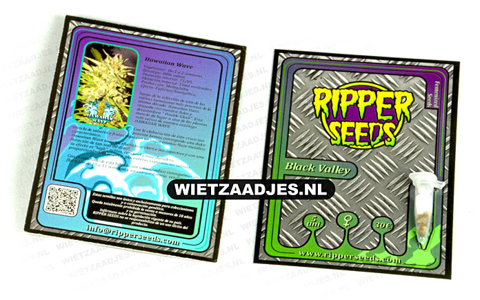 Ripper Seeds Cannabis Seedbank